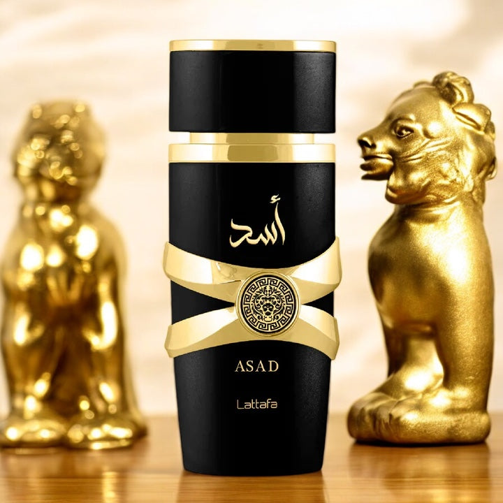 Asad Eau de Parfum for Men-100 ML – Istanbul Fashion