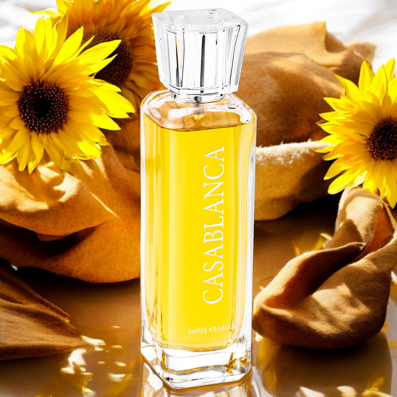 CASABLANCA EDP-100 ML – Istanbul Fashion